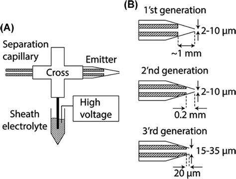 Schematic Designs Of The Electrokinetically Pumped Sheath Flow Ce‐ms Download Scientific