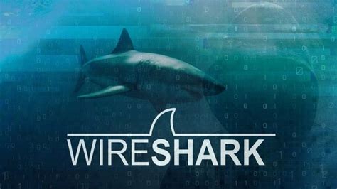 Wireshark For Beginners A Step By Step Guide