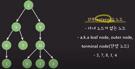 Tree Binary Tree
