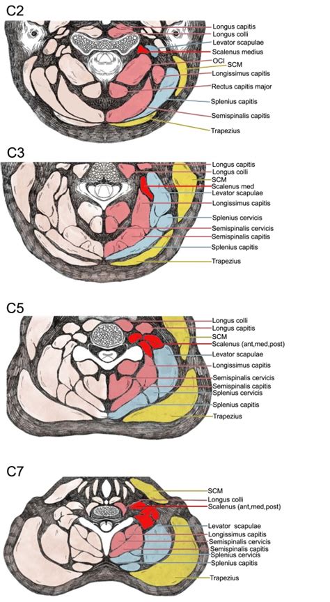 NASA Courses For Doctors