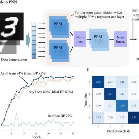 pdf asymmetrical estimator for training encapsulated deep photonic