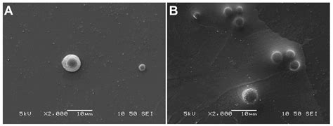 Design Of Pectin Based Hydrogel Microspheres For Targeted Pulmonary Delivery