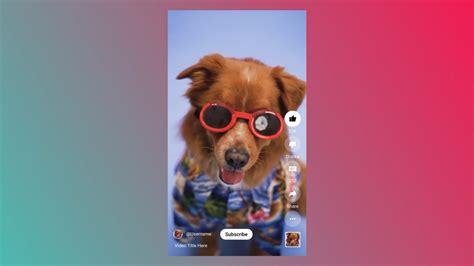 Youtube Auto Scroll Shorts After Effects Template Youtube