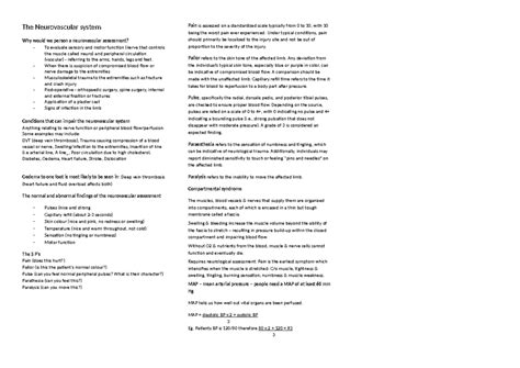 The Neurovascular System Exam Notes The Neurovascular System Why Would We Person A