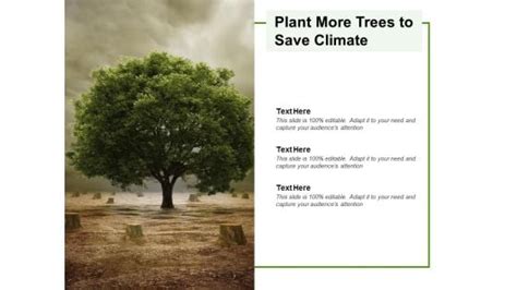 Planting More Trees Can Save The Earth PowerPoint Templates Slides And Graphics