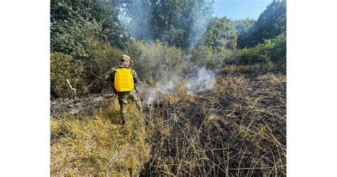 Военнослужещи участват в гасенето на големите пожари в Южна България