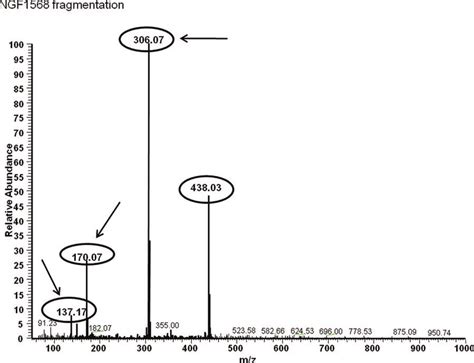 Esi Ms Ms Spectrum Of Tested Drug Ngf1568 ±esi Ms Ms