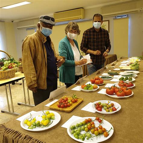 Bahrains Botanical Wonders Fact Magazine