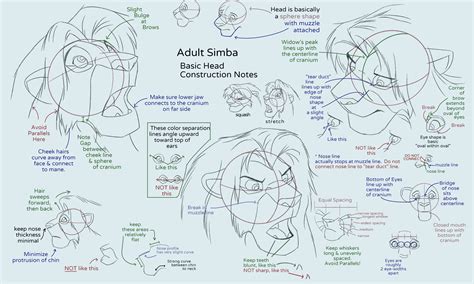 Adult Simba Basic Head Construction Notes F2u Dlc By Loupgawou On