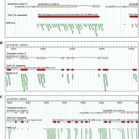 Statistical Comparisons Between First Generation Annotation And Download Table