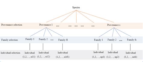 Prediction Of Genetic Gains From Selection In Tree Breeding