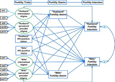 Hypothesized Framework For Fertility Intention Among Monogamous Hiv