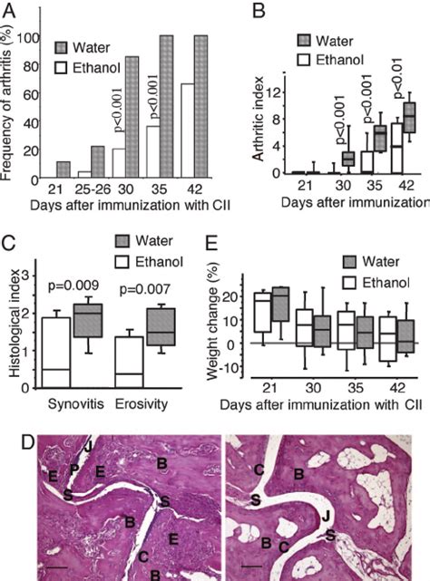 Development Of Arthritis In Dba 1 Mice Immunized With Cii And Supplied Download Scientific