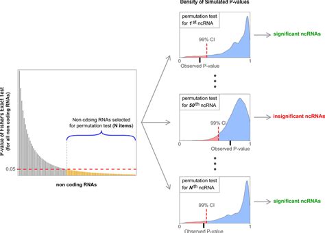 A Schematic Of Permutation Process To Identify Significantly Mutated Download Scientific
