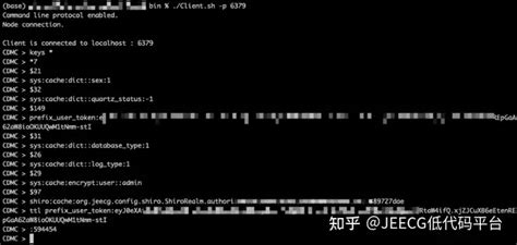 jeecgboot集成东方通tongrds 北京国炬信息技术有限公司