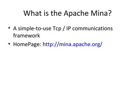 Apache Mina Ppt