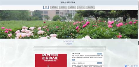 基于springboot就业信息管理系统源码和论文
