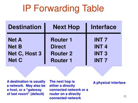 Ip Forwarding Table Decoration Examples