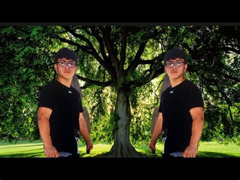 Tree YouTube