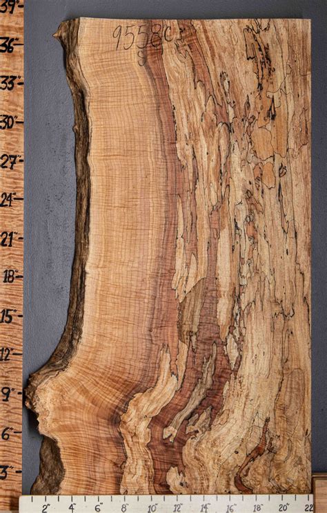 Musical Spalted Curly Maple With Live Edge Nwt 9558c