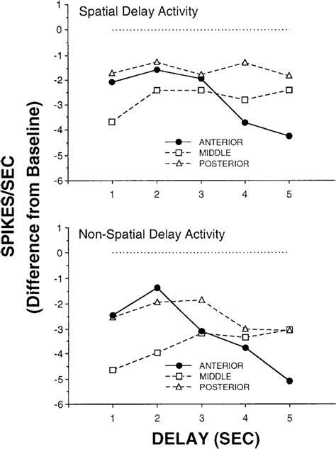 Pattern Of Spatial And Nonspatial Delay Activity Across The 5 S 1996