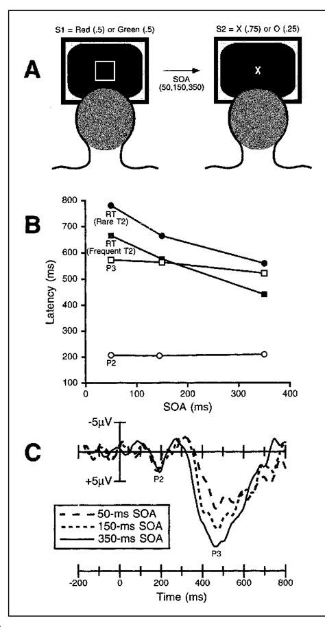 figure 1 from sources of dual task interference evidence from human