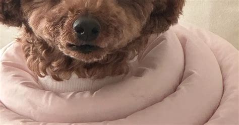 시간약속도 잘 지켜주셨고 설치도 빠르고 비용도 합리적이어서 좋았습니다 이거저거 설명도 친절하게 잘 해주시고 정말 감사해요~ 다음에 문제생기면 또 연락드리겠습니다