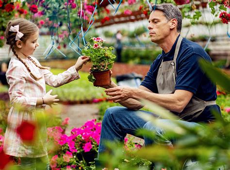 harvest innovation turf rabbit