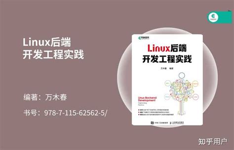 后端开发需要学哪些技术？ 知乎