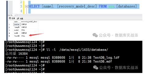 低成本高可用方案！linux系统下sql Server数据库镜像配置全流程详解 桦仔 博客园