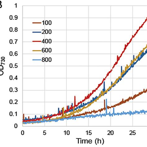 Growth Of Synechococcus 7942 And Synechococcus 2973 Under Various
