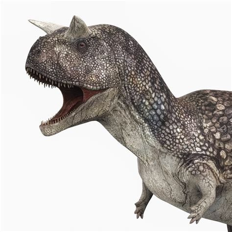 Carnotaurus Dinosaur 3d Model By Cgsea