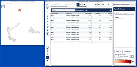 Exploring Feature Linkages With Loupe Browser Software Single Cell