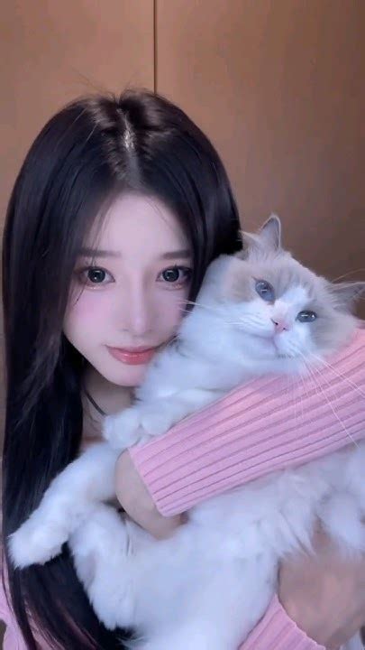 고양이와 미녀 Youtube