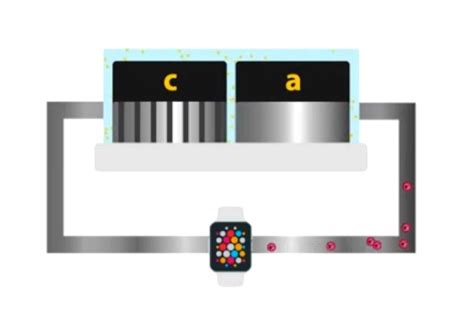 Researchers Develop Sweat Powered Biofuel Cells For Wearable Electronics News