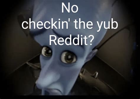 Whyyyyyy R Xiaomains