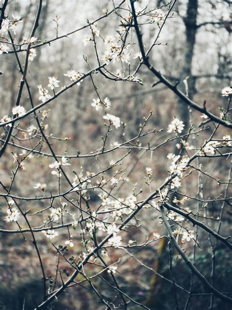 Timetable Background Photos Download The Best Free Timetable