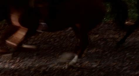 The Sex Adventures Of The Three Musketeers 1971