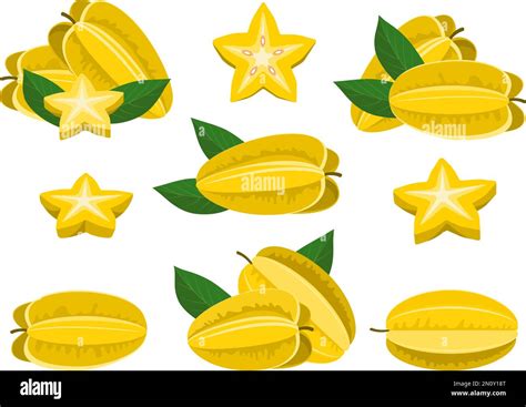 Star Fruit Elements Stock Vector Image And Art Alamy