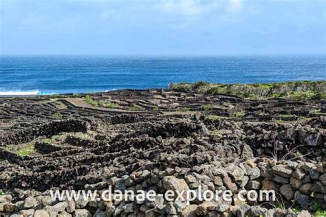 Pico Island Guide To Visiting Azore S Most Picturesque Island