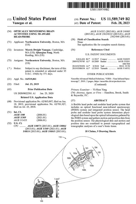 Designs For A Non Invasive Brain Imaging Head Probe Northeastern