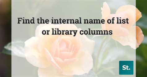 Microsoft Lists Sharepoint Stuff