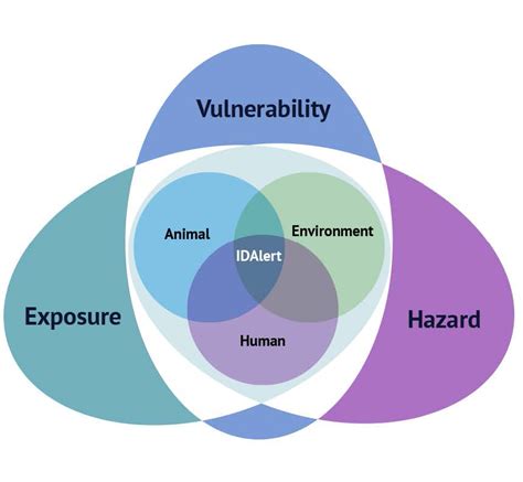 Challenges And Objectives Idalert