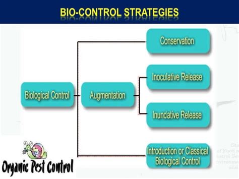 Biological Control By Augmentation Pptx