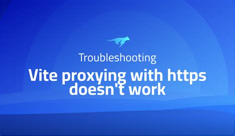 Vite Proxying With Doesnt Work Lightrun