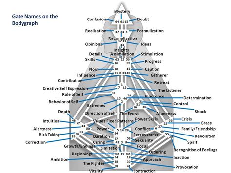 What Is Human Design Medicine Tribe
