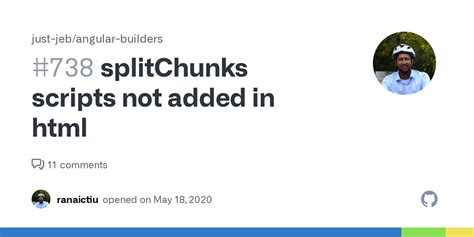 Splitchunks Scripts Not Added In Html · Issue 738 · Just Jebangular