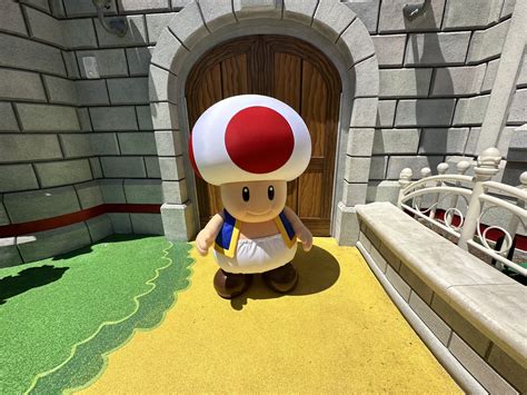 Toad Off Of Mario