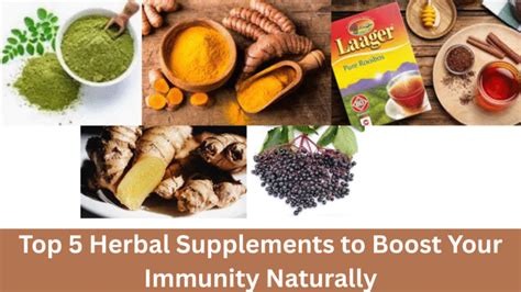 Top 5 Herbal Supplements To Boost Your Immunity Naturally Za