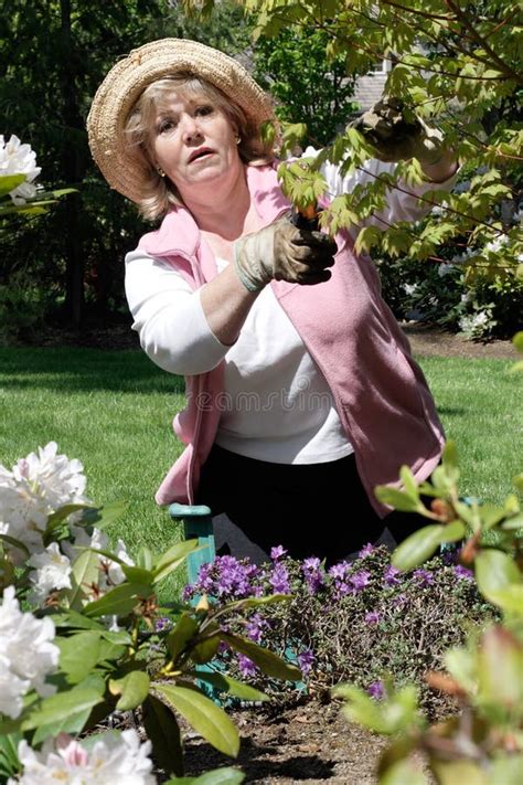 Maturew Woman Pruning A Tree Stock Image Image Of Gloves Boomer